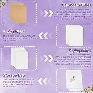 Suziko Large Flower Press Kit for Adults& Kids Flower &Plant Preservation Kit Measures 10.8" x 6.9" Arts and Crafts for Adults Leaf Press & Flower Press- Great Gift for Lovers