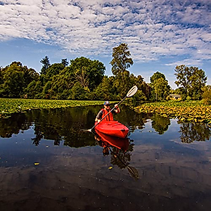 Stohlquist Fit Adult PFD Life Vest | Pack of 4 | Coast Guard Approved, Adjustable Size, Unisex, Lightweight, High Mobility, PVC Free Life Jacket - Value Pack