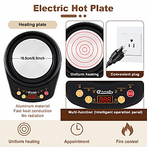 Consfly Electric Chinese Medicine Pot 2.11 QT Herbal Medicine Cooker 110V Electric Ceramic Herb Tea Maker for Herbs Within 150g
