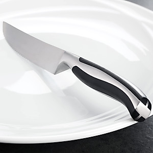 ONEIDA Contour 4pc Steak Knife Set