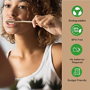 EcoLuxe Manual Bamboo Toothbrush with Replaceable Castor Bean Oil Medium Firm Bristles for Adults, 2 Packs