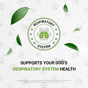 Wolf's Respiratory | Natural Herbal Dietary Supplement | Healthy Respiratory System Support in Dogs | Alcohol-Free Extract, Marshmallow Leaf, Astragalus, Chamomile, Calendula, Oregon Grape 2 oz