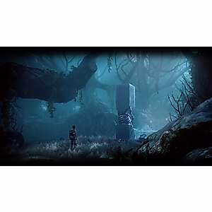 Scars Above: PS5 Digital Wallpaper Set Delivery