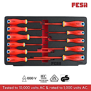 FESA Electrician Insulated Screwdriver Set - 1000V 11-Piece Professional Electrician Screwdriver Set with Magnetic S2 Steel Tips - Pozidriv, Phillips, Flathead or Slotted & Torx - Insulated Tools