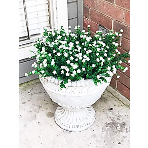 Beebel Artificial Flower Greenery Plants for Home Kitchen Dining Room Hanging Planter Garden,4 Bundles / White