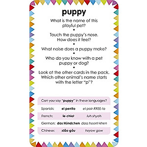 My First Touch and Feel Picture Cards: Animals (My First Board Books)