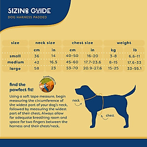 Good Scout Dog Harness Large Sized Dog, Heavy Duty Padded Dog Vest Harness, Durable Dog Body Harness, Adjustable for a Comfortable & Safe Fit, D-Ring for Quick Leash Attachment, Blue/Blush