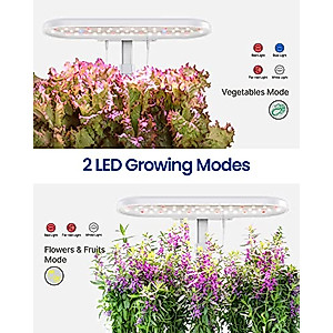 iDOO 10Pods Indoor Garden & Accessories Kit