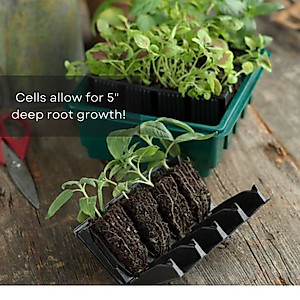 Deep Rootrainer Seed Starter, Plastic 11-1/2" L x 9" W x 3-1/2" H Overall, 32 Cells 1-1/2" Square x 5" H Each, Holding Tray and Dome Included, Promotes Downward Root Growth, Reusable