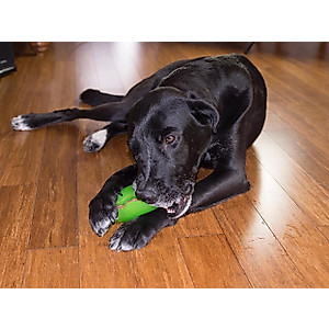 Starmark Treat Dispensing Pickle Pocket for Dogs