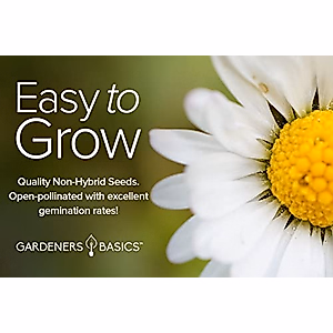 Daisy Seeds for Planting Outdoors Flower Seeds (3 Variety Pack) Alaska Shasta Daisy, Painted Daisy, Yellow Daisy Varieties for Butterflies, Bees, Pollinators Wildflower Seed by Gardeners Basics