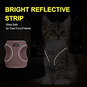 Fida Cat Harness and Leash Set for Walking Kitten and Puppy, Escape Proof Kitten Harness with Breathable Lightweight Soft Mesh, Adjustable Reflective Step-in Design for Kitten and Puppy.(XXXS, Pink)