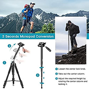 72" Tripod for Camera, Tall DSLR Tripod, Aluminum Horizontal Tripod Monopod, Professional Heavy Duty Camera Tripod Stand with Remote, Tablet & Phone Mount, Compatible with Canon Nikon Sony