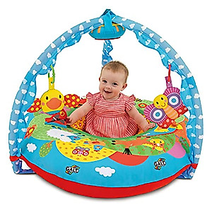 Galt Toys, Playnest & Gym - Farm, Baby Activity Center & Floor Seat