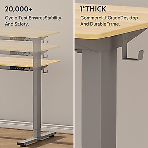 FLEXISPOT EN1 One-Piece Height Adjustable Desk 48 x 30 inch Electric Standing Desk, Stand Up Desk for Home Office (Silver Frame + 48" Natural Top, 2 Packages)