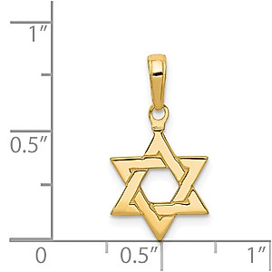 Auriga Fine Jewelry 14k Yellow Gold Polished Star of David Pendant Gift for Women