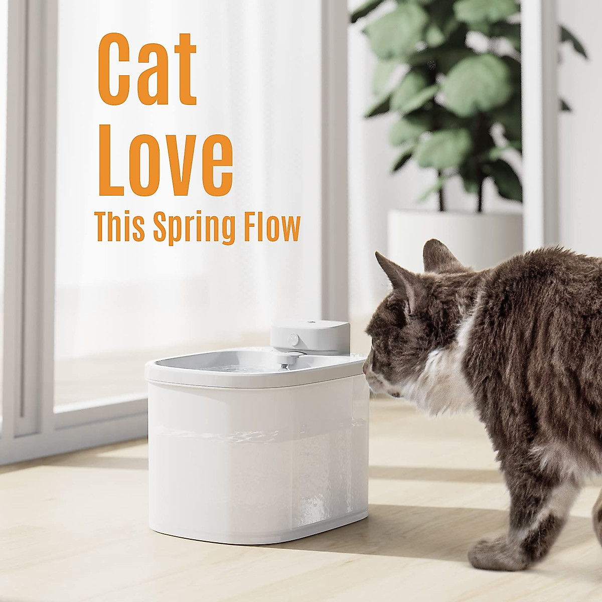 MEGADOO Wireless cat Fountain, Battery Driven Automatic Fountain with Motion Sensor, 74oz/2.2L Ultra Quiet cat Fountain Basin, with 3 Large Filters, Suitable for Cats, Dogs, and Multiple Pets