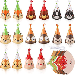 16 Pieces Party Hats for Kids Animal Paper Cone Hat Cute DIY Cartoon Birthday Gnome Hats Colorful Art Craft Caps Animal Themed Party Decoration Game Supplies