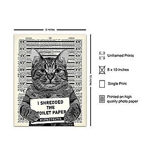 Guilty Cat Wall Decor - Cat Wall Art - Dictionary Art - 8x10 Humorous Poster, Mugshot Wall Art or Home Decoration for Bathroom, Bath - Funny Gag Gift for Cat Lovers - Upcycled Picture Photo Print