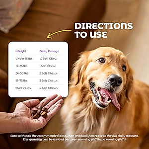 Anal Gland Chews for Dogs, Promotes Gut and Digestive Health, Scoot Stop Supplements, Prevents Infection, Fiber for All Dogs with Pumpkin, Apple Pectin, Bromelain, Duck Flavor, 120 Soft Chews