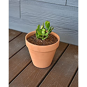 Planting Mix for Plant Propagation, Hand Blended Soilless Mix for Propagating Plants, House Plants, and More-4qt