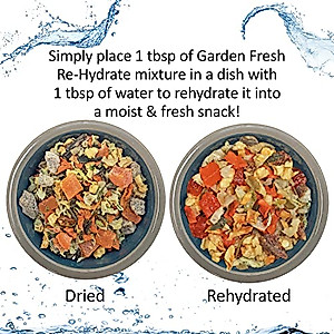 Sugar Glider Treat Variety Pack (9.5 oz.) - Healthy Natural Sugar Glider Treat Assortment - Yogurt Drops, Crunchez Berry Blend, Dried Papaya, Dried Pineapple - Sampler Variety Value Package