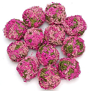 BYHER Natural Decorative Moss Balls Wooden Theme for Garden Patio,Wedding,Party