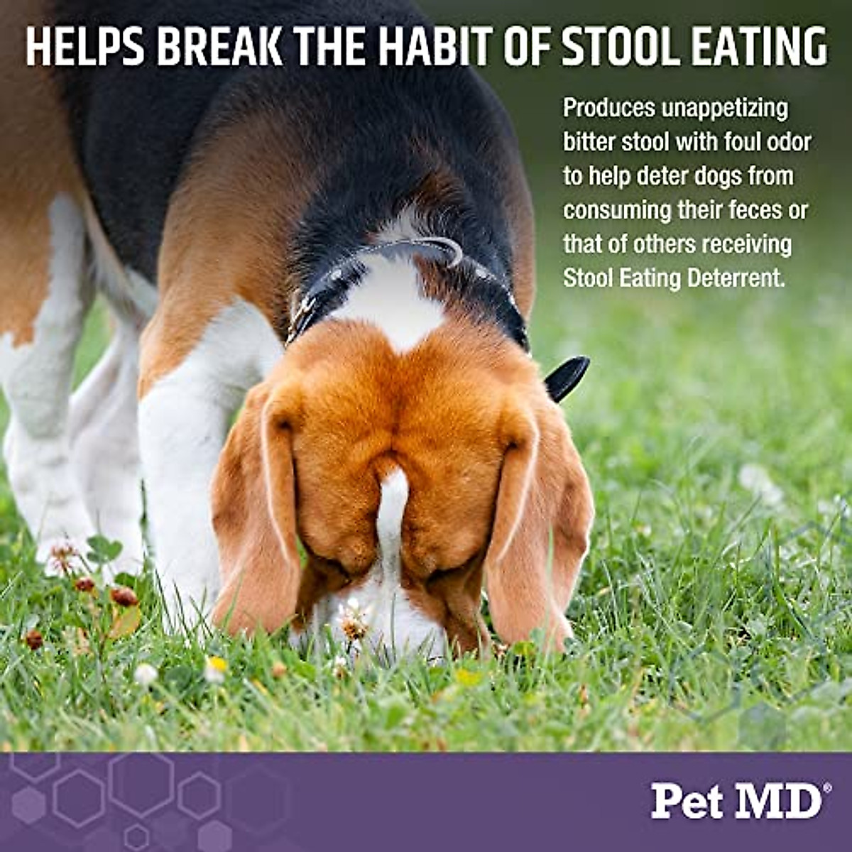 Pet MD Stool Eating Deterrent - Prevent Dog from Eating Poop - Coprophagia Aversion with Enzymes, Herbs, & Prebiotics for Digestive Support & Fresh Breath - Stop Stool Eating Chews - 60 ct