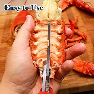 2 Pack Seafood Scissors,Seafood Fish Crab Shrimp Lobster Scissors Stainless Steel Shears for Kitchen Tools