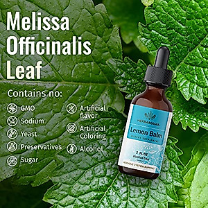 HERBAMAMA Lemon Balm Tincture - Organic Lemon Balm Herb Drops - Melissa Officinalis Liquid Extract - Vegan, Alcohol-Free - 2 fl oz