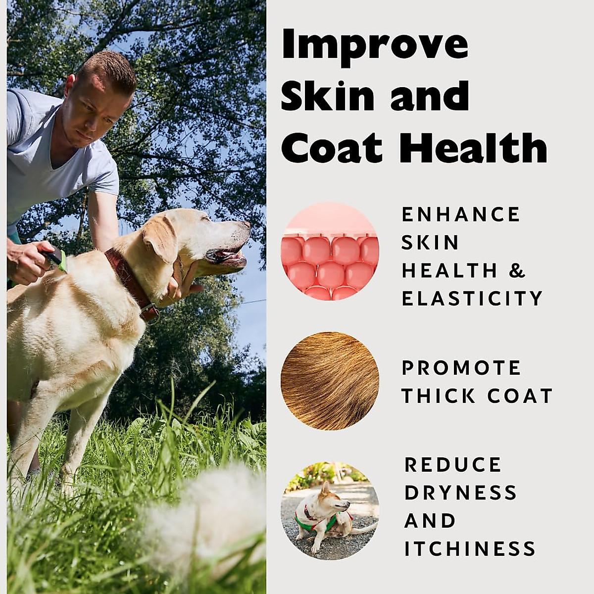 Nature's Diet Premium Beef Collagen Peptides Powder for Dogs & Cats, Joint & Skin Health Support