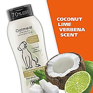 Wahl Dry Skin & Itch Relief Pet Shampoo for Dogs – Oatmeal Formula with Coconut Lime Verbena & Pet Friendly Formula, 24 Oz - Model 820004A