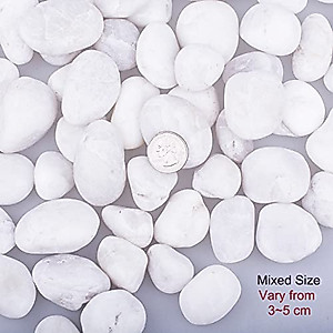 HOT SEAL 2.0 lb White River Rock Stones 1~1.5", Natural Decorative Highly Polished Pebbles, Indoor Decorative Stones for Plant, Aquariums, Landscaping, Garden Flower Bed, Vase Fillers