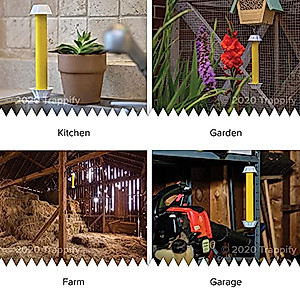 Trappify Sticky Fly and Moths Traps for Home Pest Control - Fly, Gnats, Moths and Other Flying Insects Killer with Extra Sticky Adhesive Disposable Fly and Moths Catcher - 28 Traps