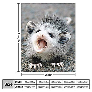 Flannel Fleece Throw Blanket Baby Possum Pattern Breathable Air-Conditioned Quilts for Camping Traveling Cozy Warm Bed Blanket for Women Men, 30 x 40 in