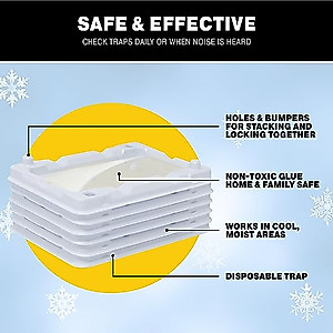 Catchmaster Cold Weather Mouse Traps Indoor for Home 6PK, Winter Pest Control Adhesive Tray for Bugs, Crickets, & Spiders, Pet Safe Glue Traps for Mice in Basement, Walk-In Fridge, Warehouse, & Garage