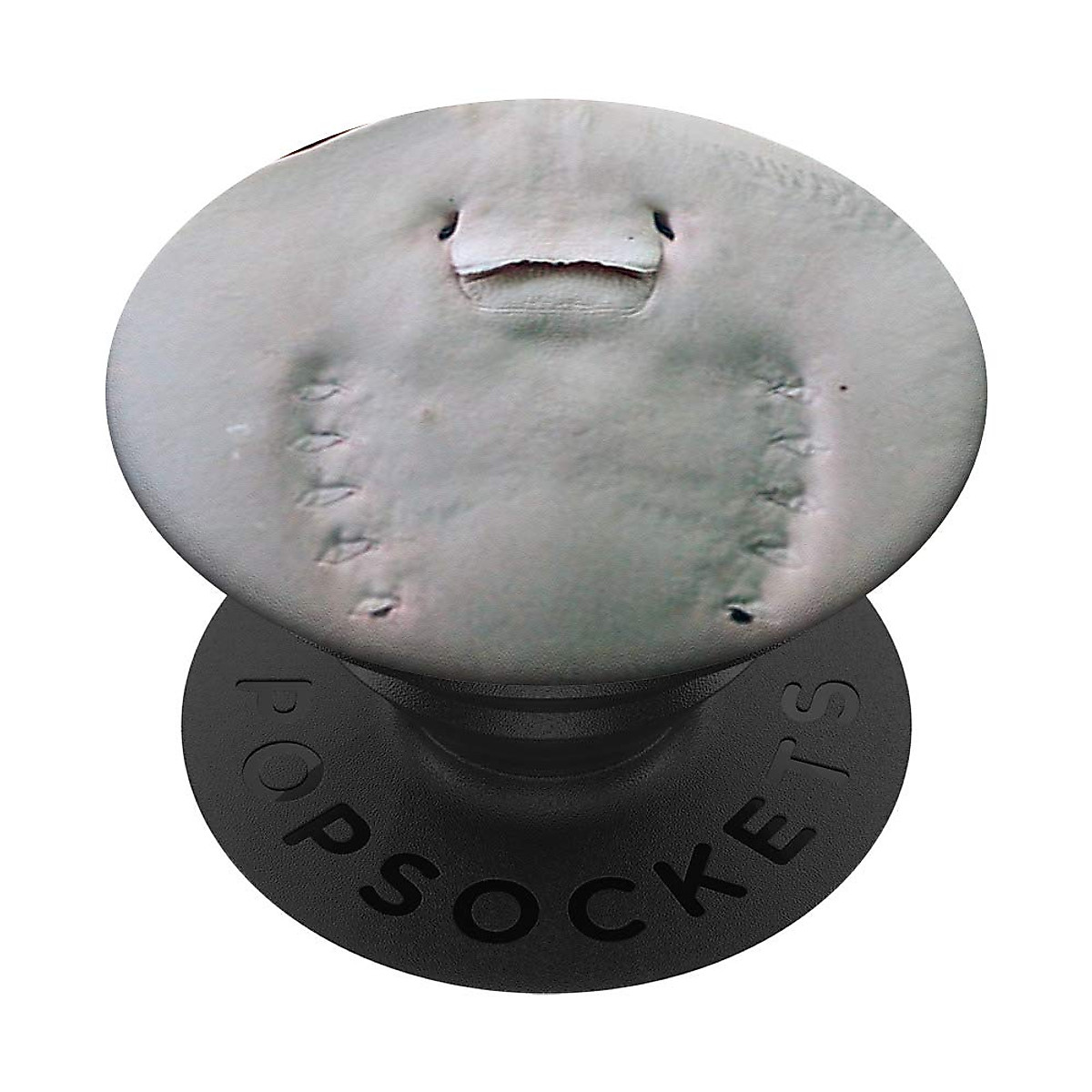 Cute Smiling Stingray PopSockets Swappable PopGrip