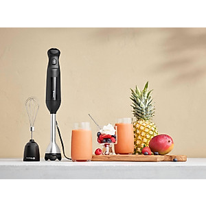 Vitamix 2-Speed Immersion Blender + Whisk, Black