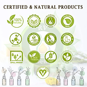 R V Essential Pure Vanilla Essential Oil 100ml (3.38oz)- Vanilla Planifolia (100% Pure and Natural Therapeutic Grade)