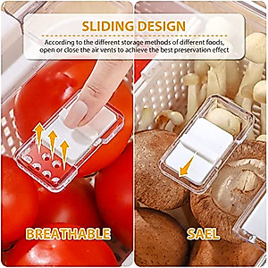 Fruit Storage Containers for Fridge, 3 Pack Produce Saver Containers 10 Pack BPA FREE Reusable Freezer Bags, Vegetable Fruit Container Storage Reusable Lunch Bag for Meat Fruit