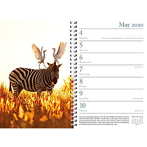 Audubon Engagement Calendar 2020