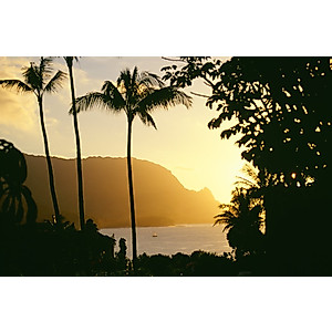 Posterazzi Hawaii Kauai Hanalei Bay Bali Hai Yellow Sunset Through Palm Trees And Vegetation Poster Print, (19 x 12)