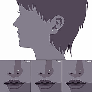 JEWELRIESHOP 60pcs Nose Ring Studs Stainless Steel CZ Nose Piercing Jewelry Bone Studs for Women Men Hypoallergenic 22G (1.6mm-2.5mm,White CZ)