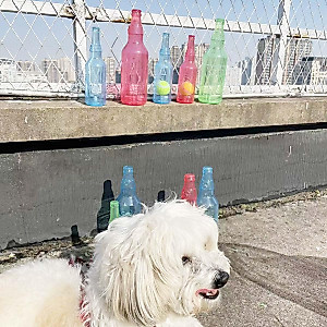 EZGHAR Zentric CrunchNPlay Bottle Toy, Zentric Shop Bottle Toys for Dogs, Bottle Chew Toys for Dogs, Dog Toy Water Bottle Cruncher, Plastic Bottle Toys for Dogs with Ball (S,Blue)