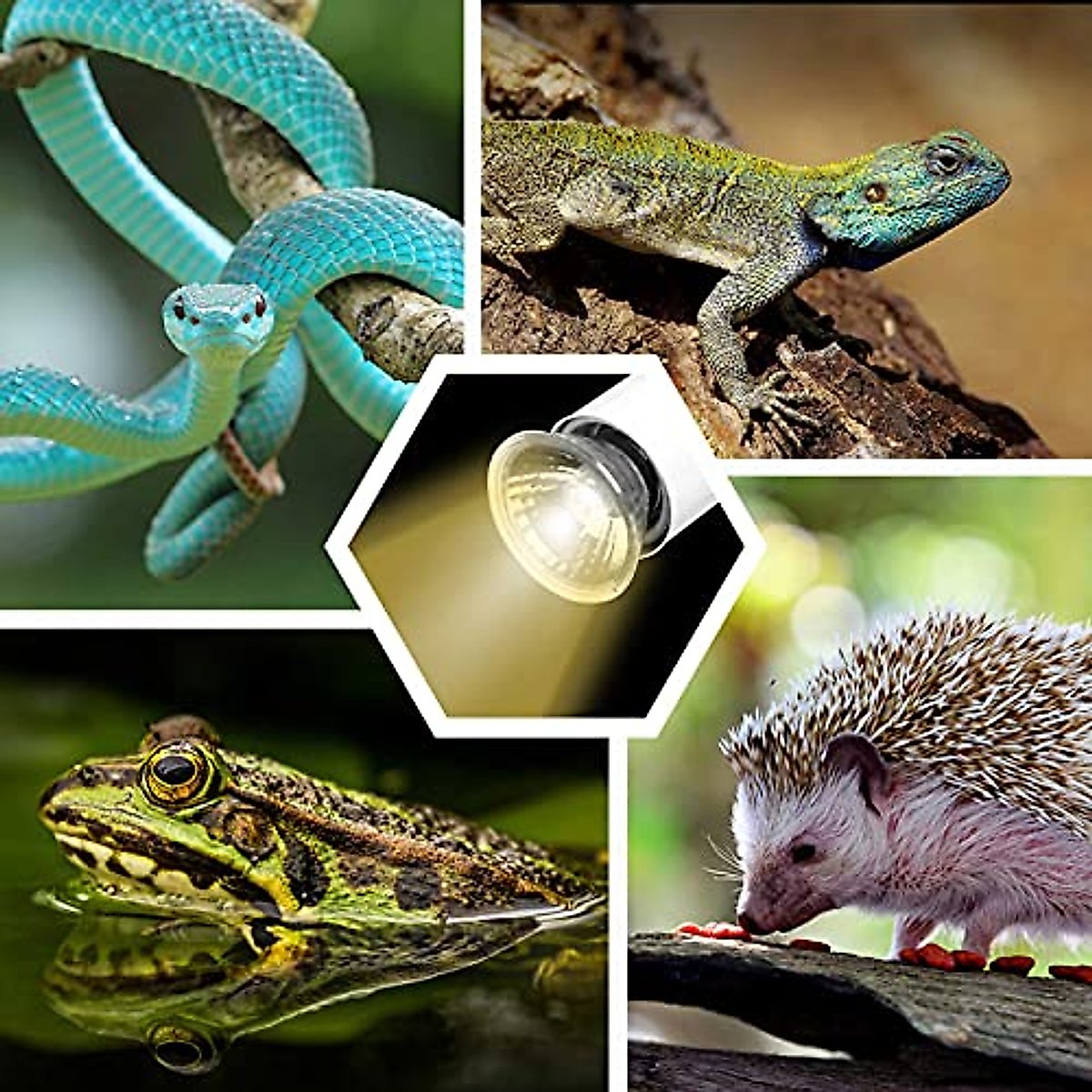 Reptile Heat Lamp, Reptile Light with 360° Rotatable Hose, Adjustable Heating Lamp Fixture with 3 UVA UVB Bulbs Suitable for Bearded Dragon Turtle Lizard Snake ,Most Reptiles Plants