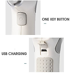 Electric Spray Bottle， 1L Electric Plant Spray Bottle Automatic Watering Fogger USB Garden Tool Handheld Garden Sprayer Electric Fogger Watering Can (Color : 1)