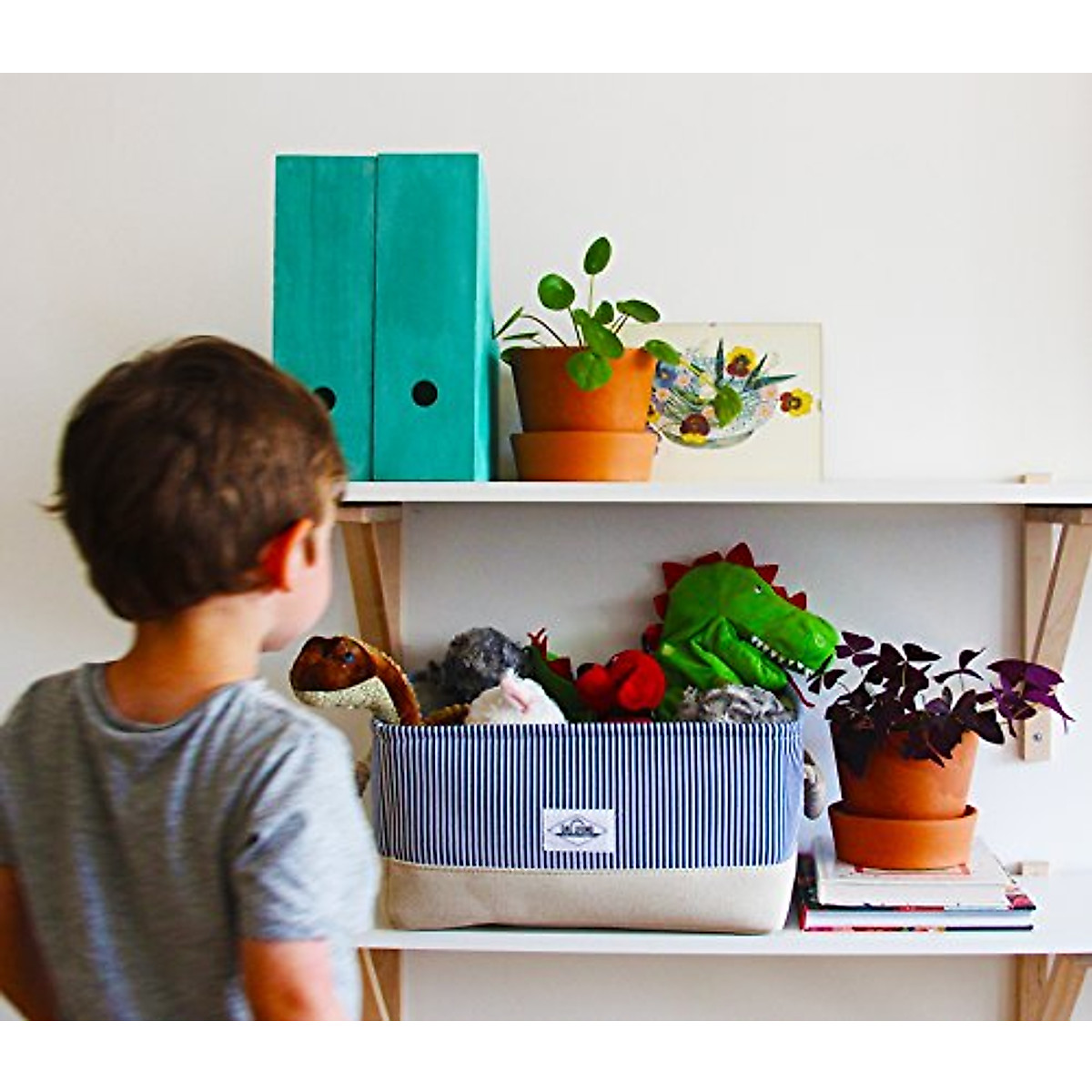 DAE Living Fabric Storage Bins (Set of 2) | Extra Stiff Canvas Fabric | Wire Framed | Fully Lined Interior | Perfect for Clothes, Toys, Shoes, Pet Supplies, Nurseries, Closet and Shelf Storage