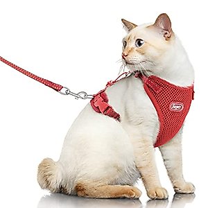 Supet Cat Harness and Leash for Walking Escape Proof, Adjustable Harness for Cats, Easy Control Small Cat Harness for Medium Large Kitten and Dogs