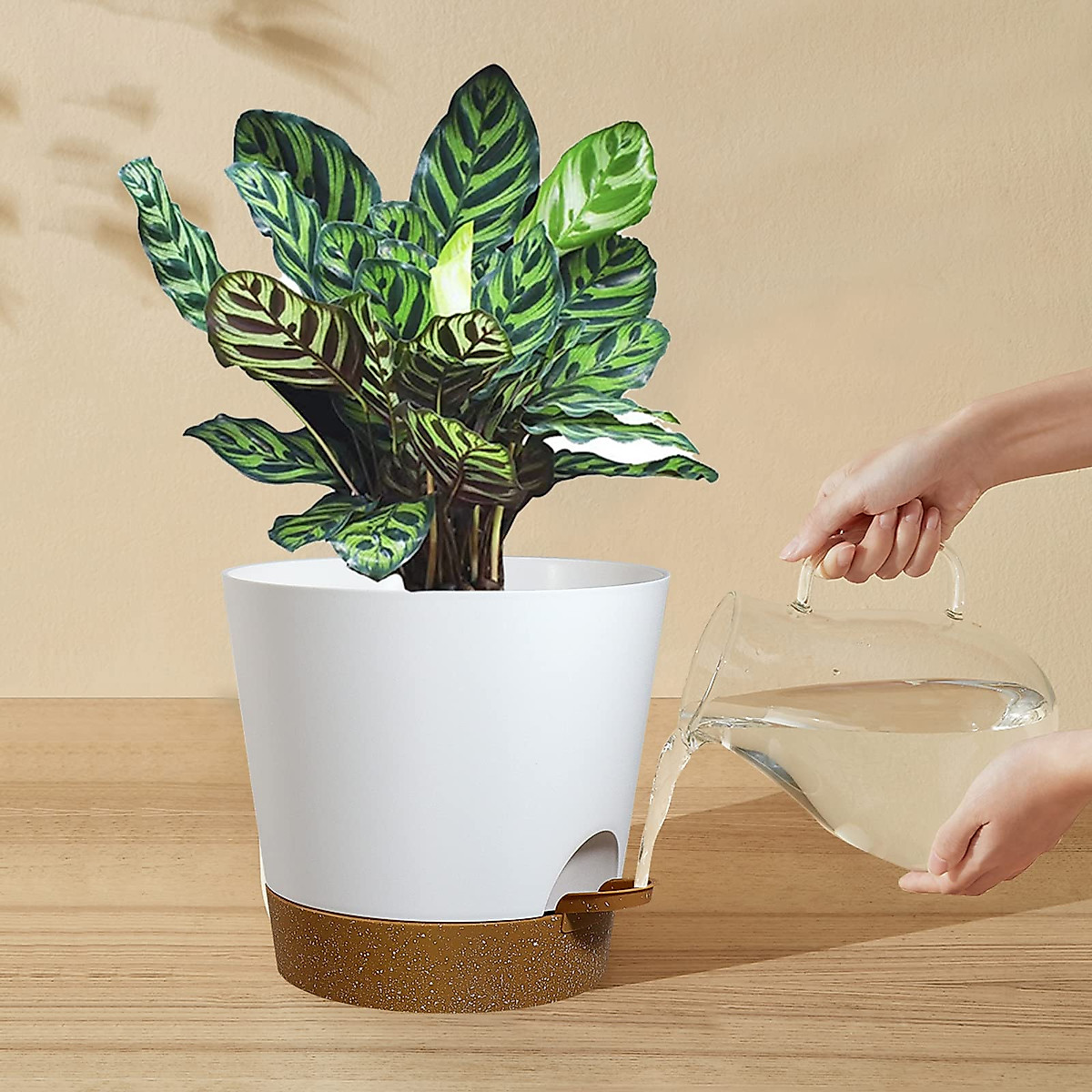 WOUSIWER Plant Pots, 7/6.5/6/5.5/5 Self Watering Plastic Planters with Deep Reservior and High Drainage Holes for Indoor Outdoor Flowers Plants, White with Terracotta