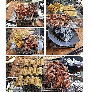 RANIT Portable Folding Campfire Grill, Camping Fire Pit, 304 Stainless Steel Outdoor Wood Stove Burner With storage bag for Outdoor Backpacking Camping Hiking Camp Kitchen Stoves Grills BBQ